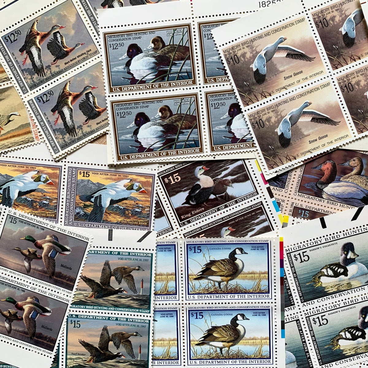 Duck Stamps – MykDesignShop